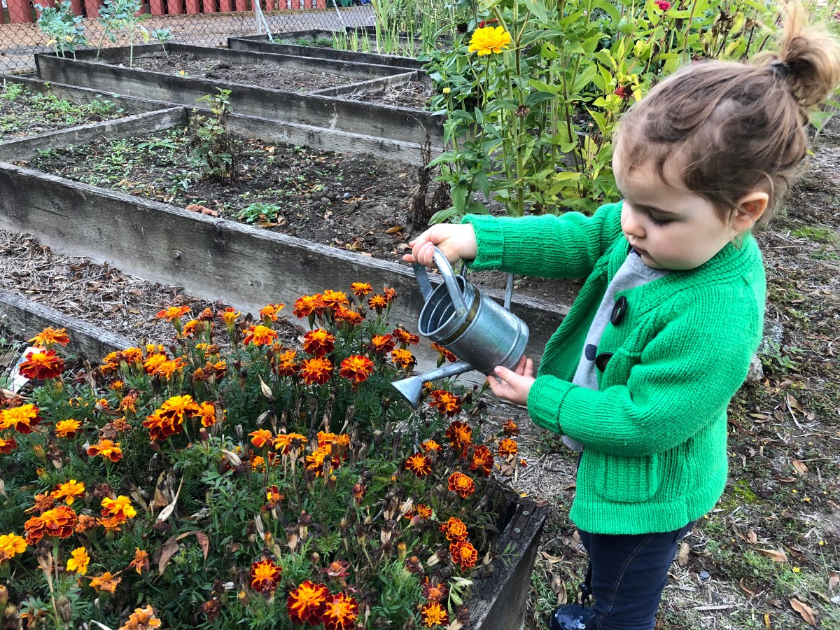 Take a Peek! – Little Cubs Preschool