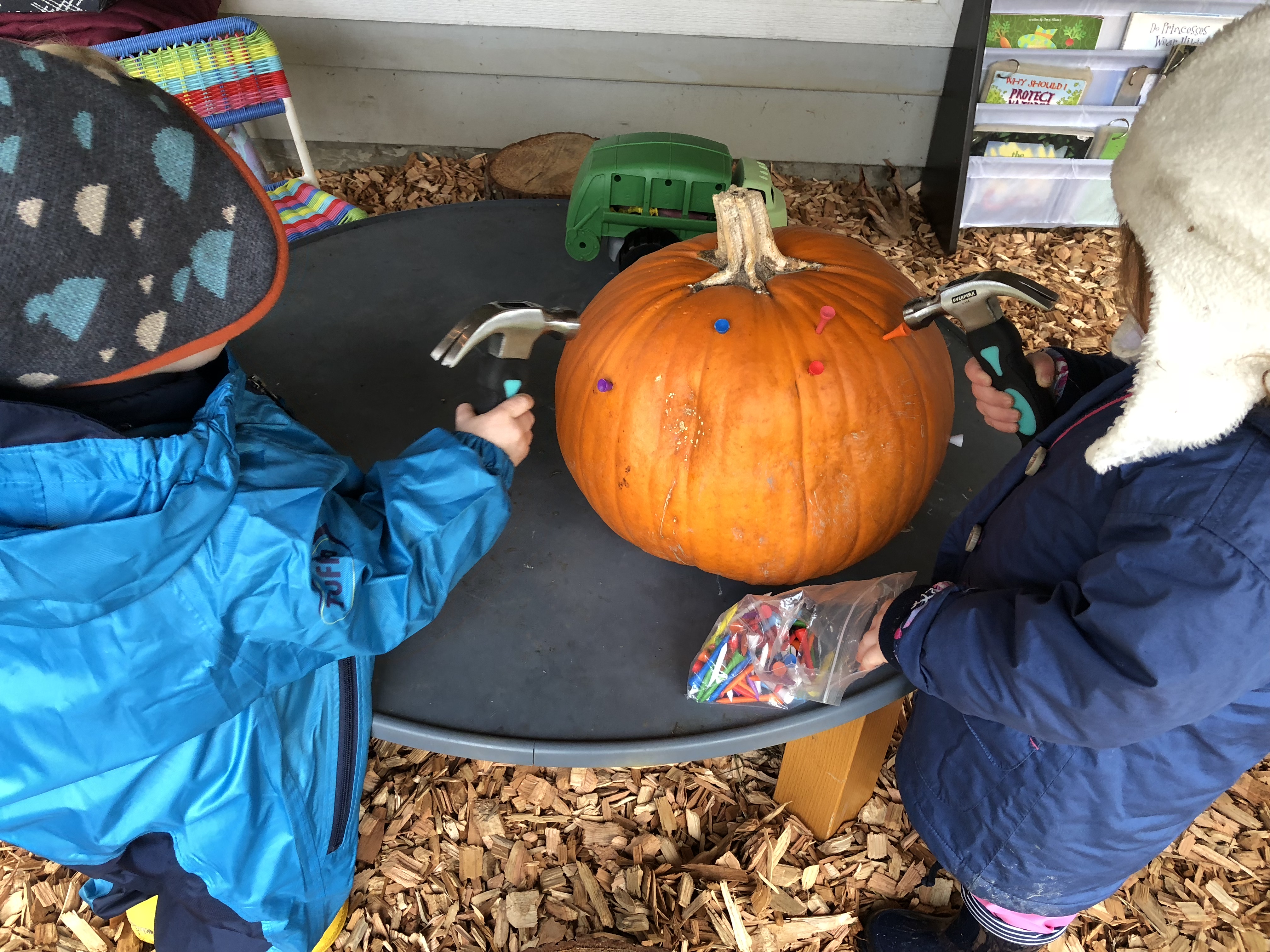 Take a Peek! – Little Cubs Preschool